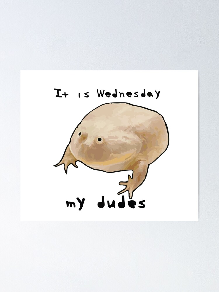 "Frog it is wednesday my dudes" Poster by srcocotero | Redbubble