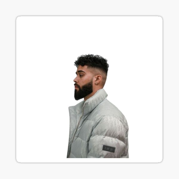 "Ap Dhillon " Sticker for Sale by Trixxy-Haxxy | Redbubble