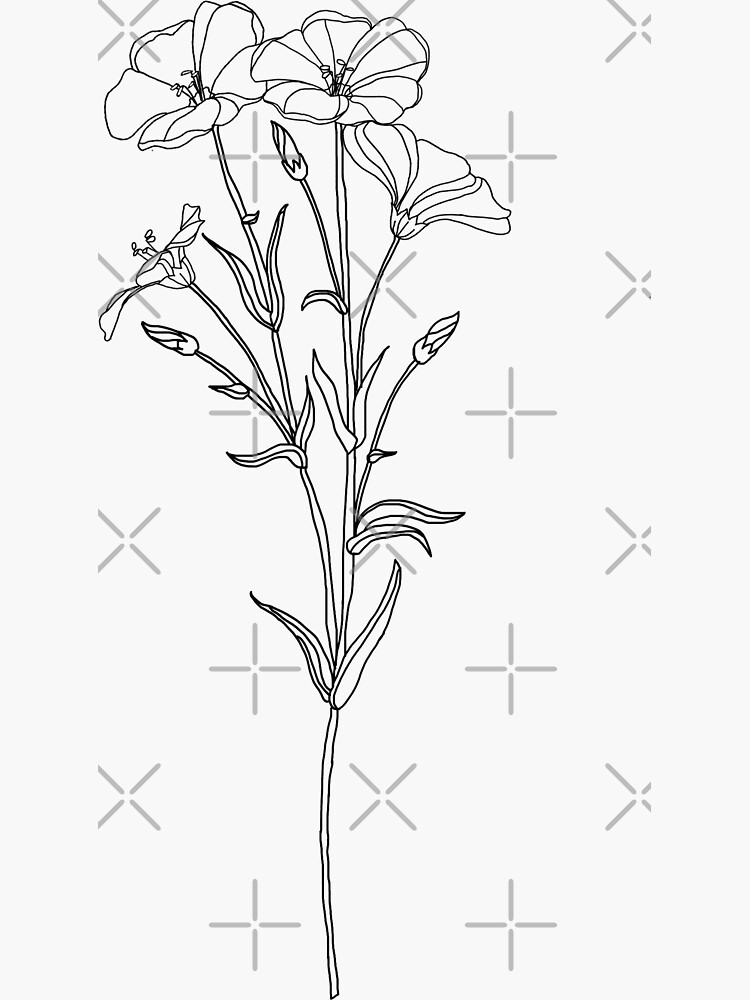 "Wild Flower Outline" Sticker for Sale by chalenemalekoff | Redbubble