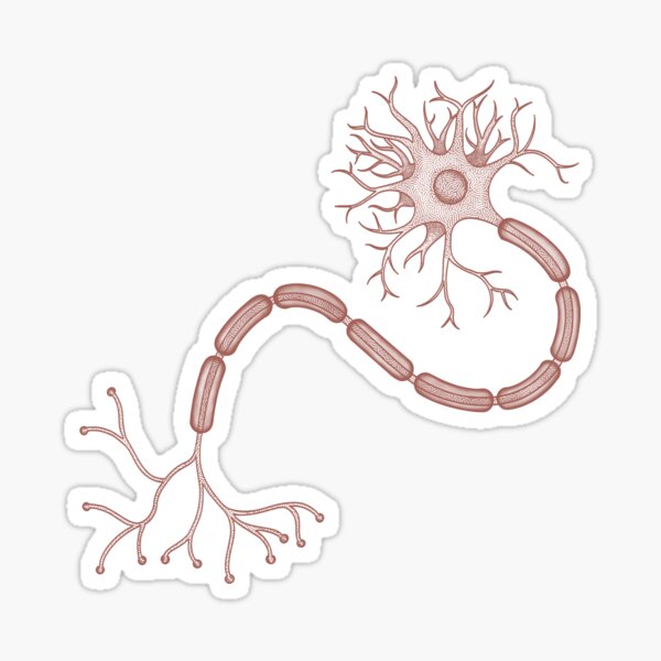 "NEURON" Sticker by Polluelo | Redbubble