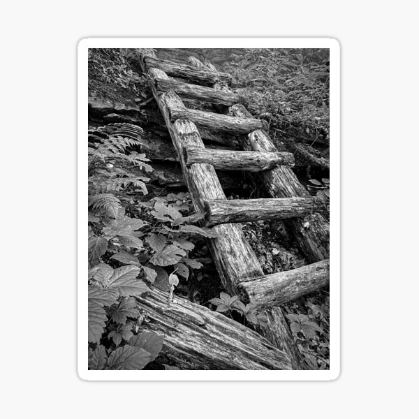 "Coal Miners Ladder" Sticker for Sale by GeorgeBuxbaum | Redbubble