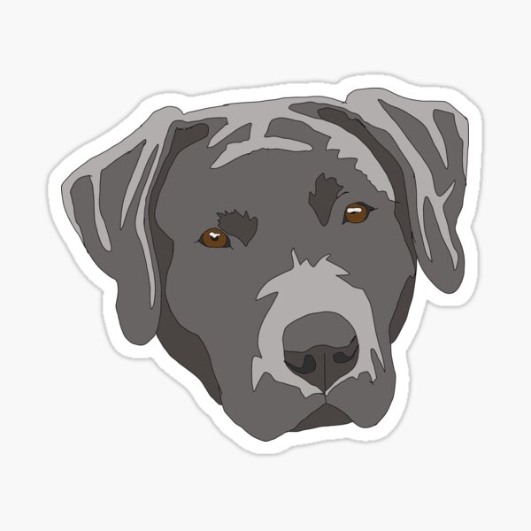 "Silver lab face" Sticker for Sale by LeahcarsArt | Redbubble