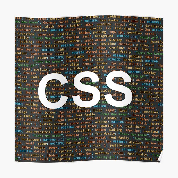 "CSS" Poster for Sale by SpaceLake | Redbubble