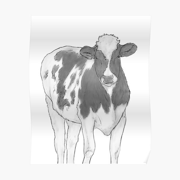 "Holstein Dairy Cow - Sketchy Black & White Uncolored" Poster for Sale ...
