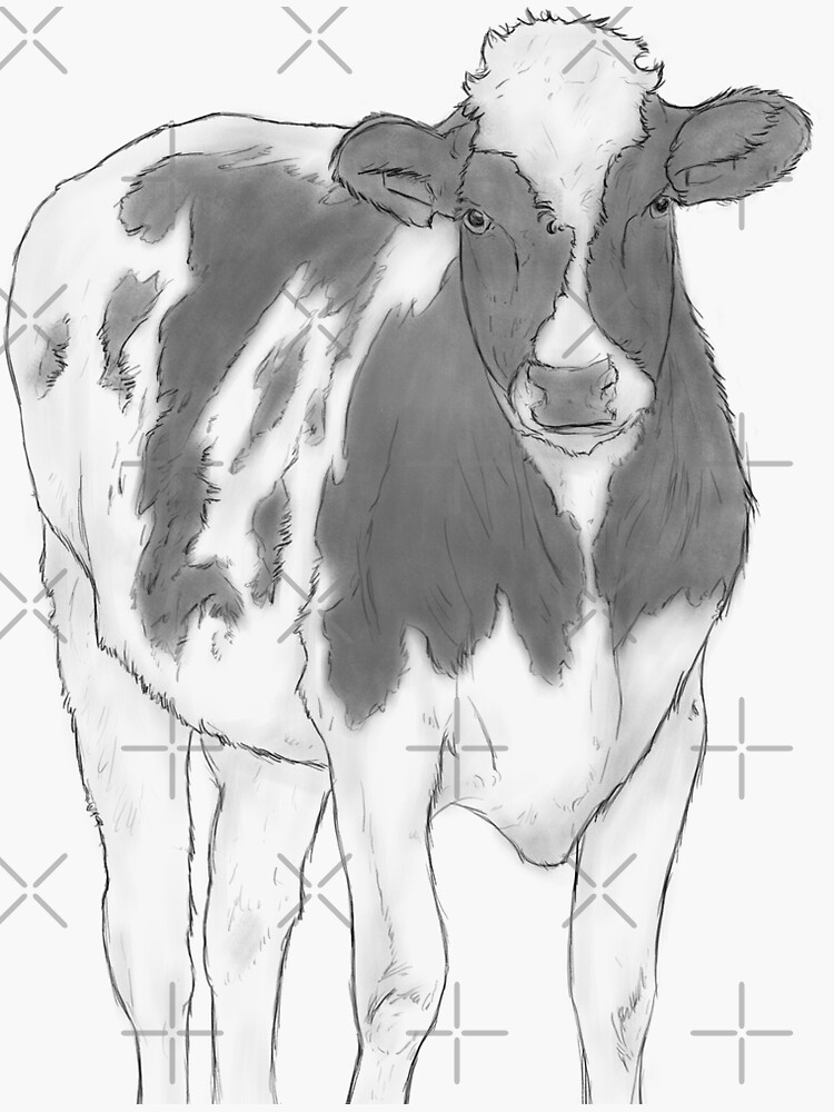 "Holstein Dairy Cow - Sketchy Black & White Uncolored" Sticker for Sale ...
