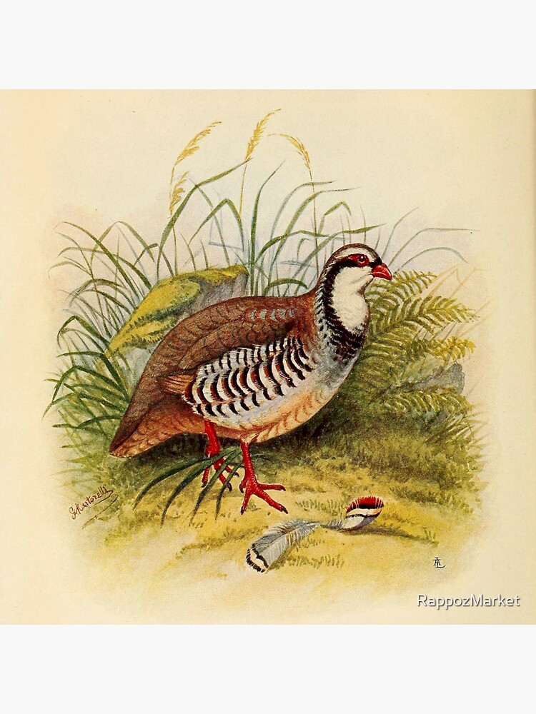 "Vintage Style Bird Design for Classy Look" Sticker by RappozMarket ...