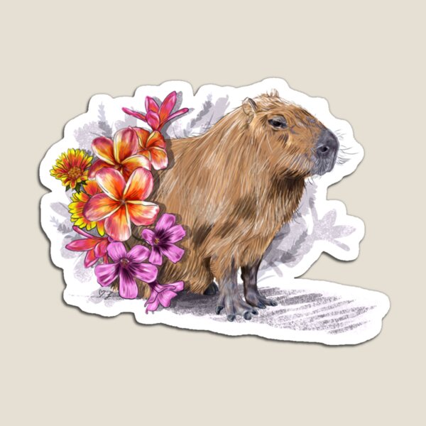 "Capybara " Magnet for Sale by CapybaraPrints | Redbubble