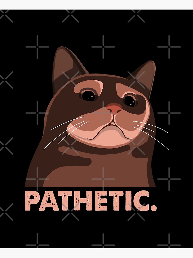"Pathetic Cat Meme" Poster for Sale by Luan Huynh | Redbubble
