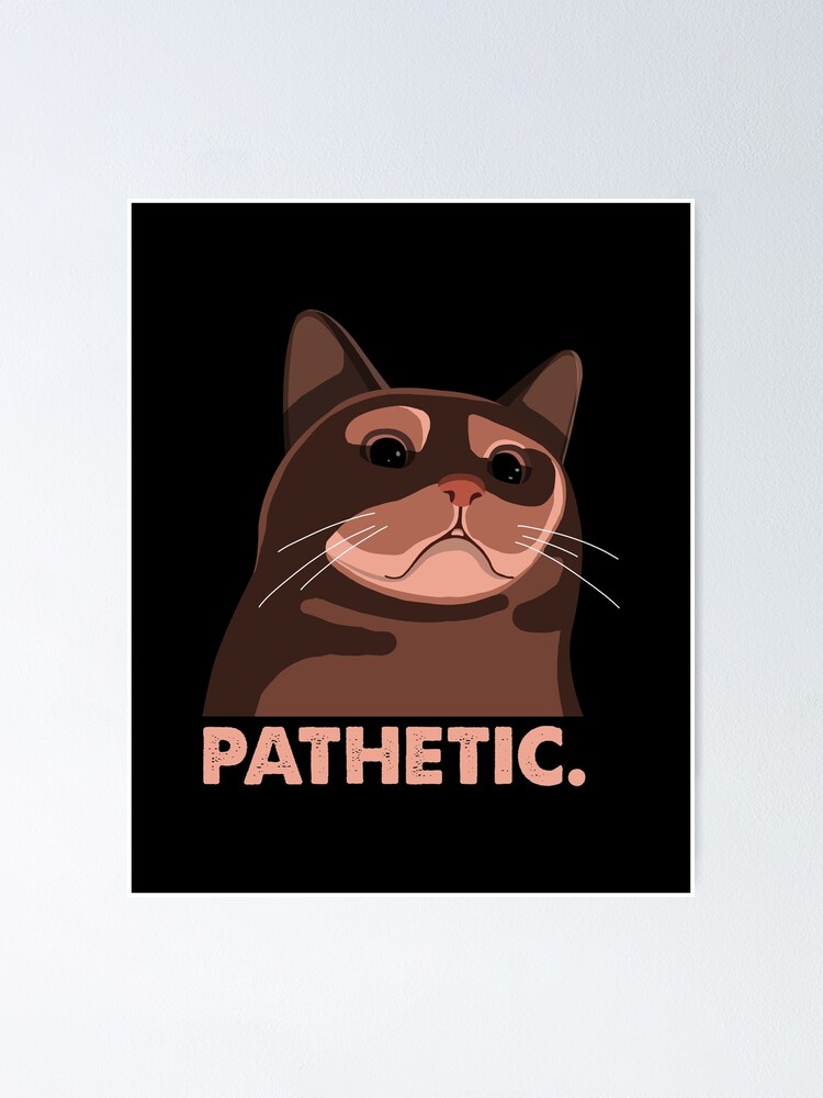 "Pathetic Cat Meme" Poster for Sale by Luan Huynh | Redbubble
