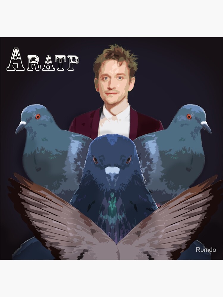 "A Robins Amongst The Pigeons" Poster for Sale by Rumdo | Redbubble