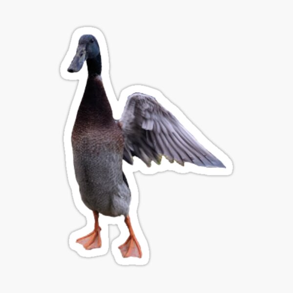 "Magnificent Long Boi Sticker" Sticker for Sale by longboiyork | Redbubble