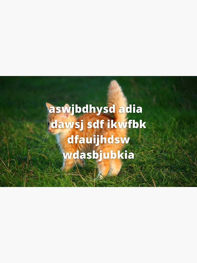 "cat aswjbdhysd adia dawsj sdf ikwfbk dfauijhdsw wdasbjubkia bumper ...