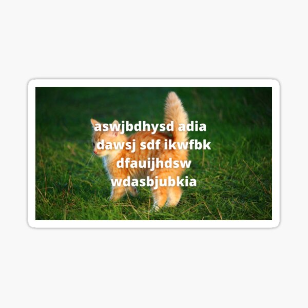 "cat aswjbdhysd adia dawsj sdf ikwfbk dfauijhdsw wdasbjubkia bumper ...