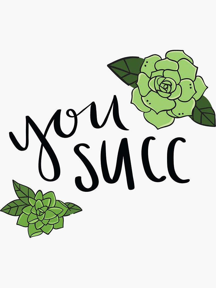 "YOU SUCC " Sticker for Sale by amandaspac | Redbubble