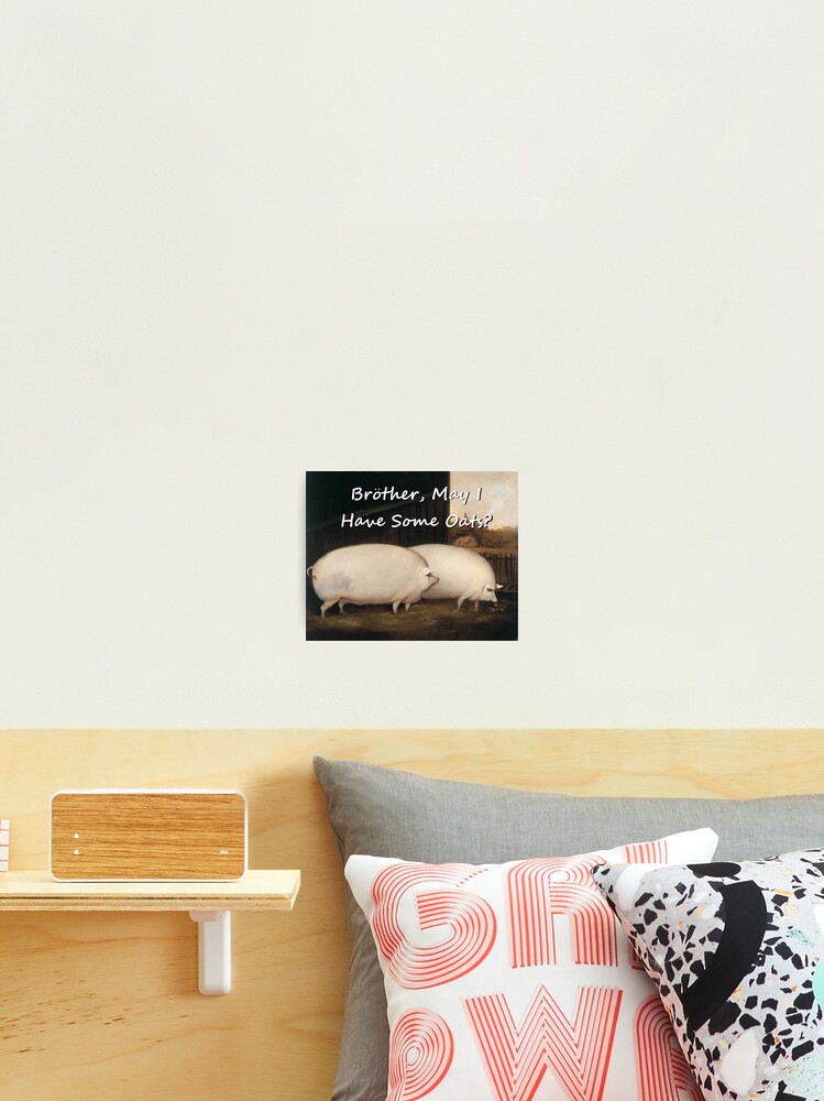 "Brother, may I have some Oats? Pig Meme" Photographic Print for Sale ...