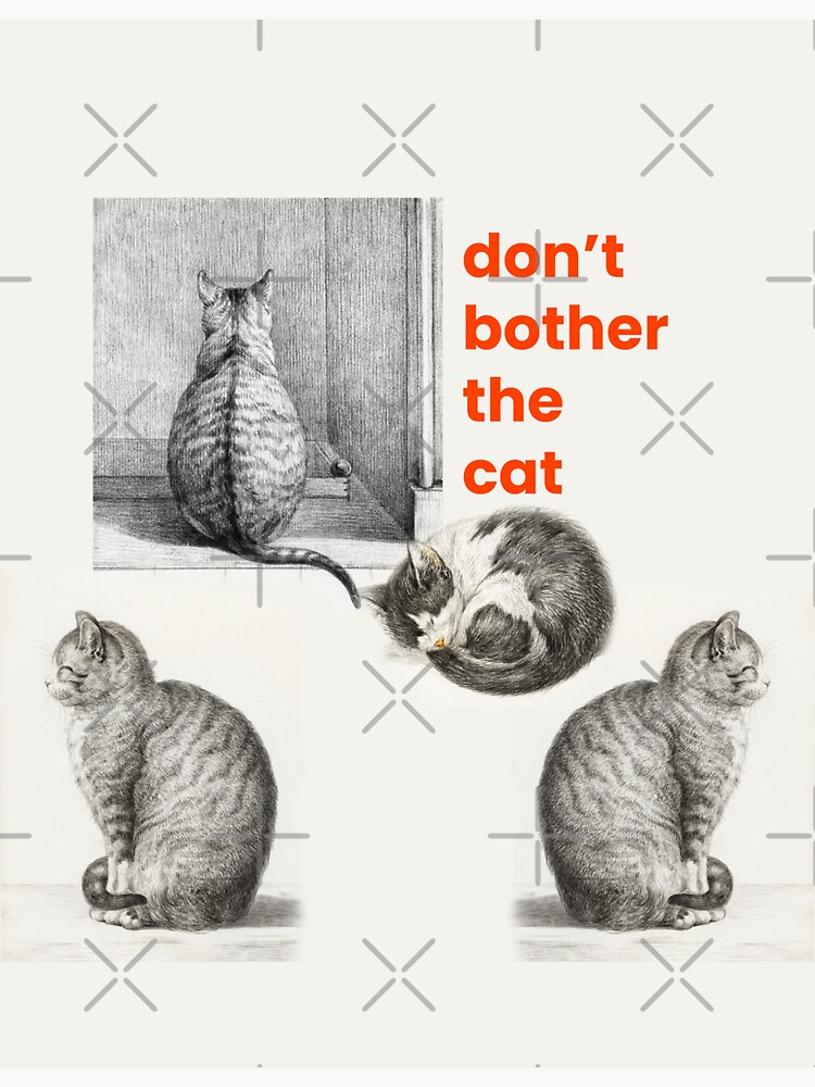 "do not bother the cat" Sticker for Sale by spacelast01 | Redbubble