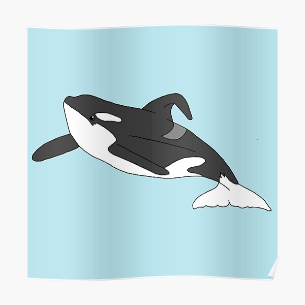 "Tekoa Orca Cartoon" Poster for Sale by tidaldreams | Redbubble