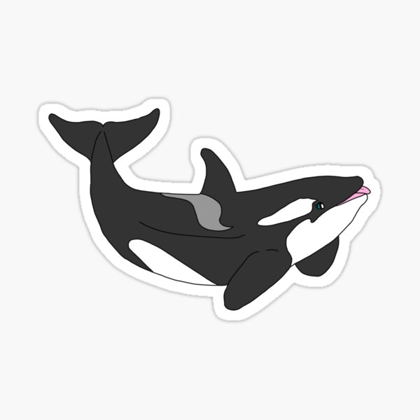 "Morgan Orca Cartoon" Sticker for Sale by tidaldreams | Redbubble