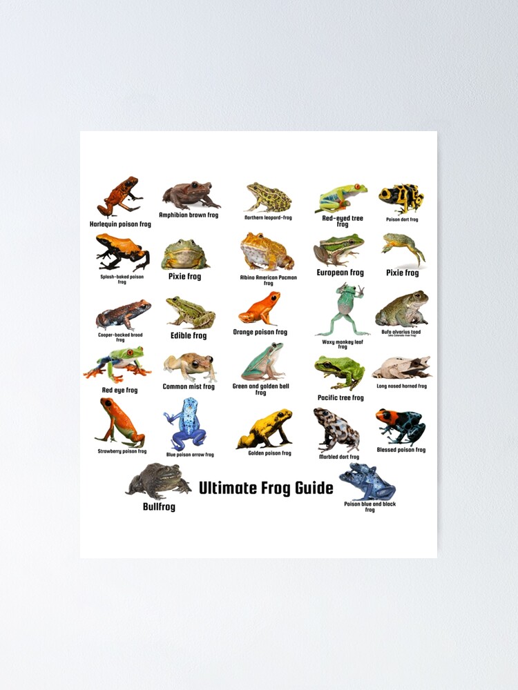 "The Ultimate Frog Guide - frog species " Poster for Sale by WilldBrush ...