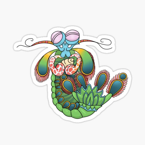 "Peacock Mantis Shrimp!" Sticker for Sale by SadieLouHays | Redbubble