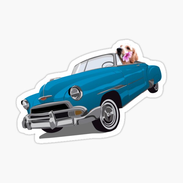 "dog driving, dog drive car" Sticker for Sale by magiccadesign | Redbubble