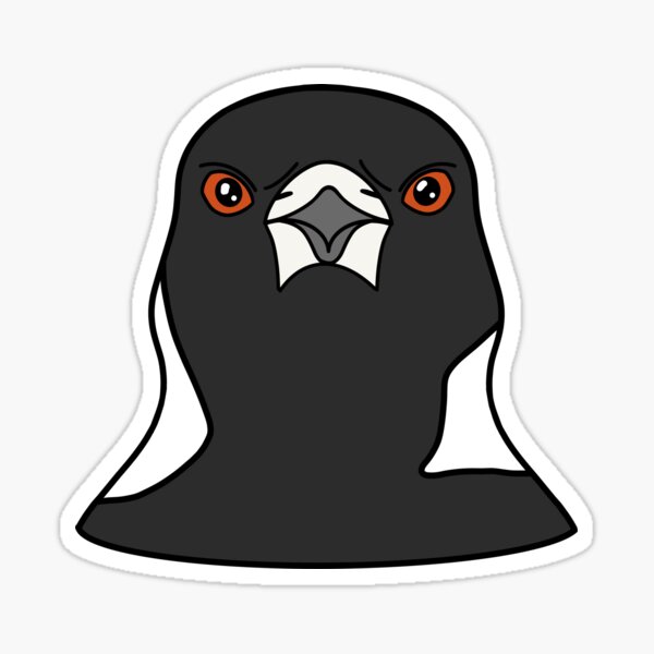 "Australian Magpie Face" Sticker for Sale by BundaBear | Redbubble