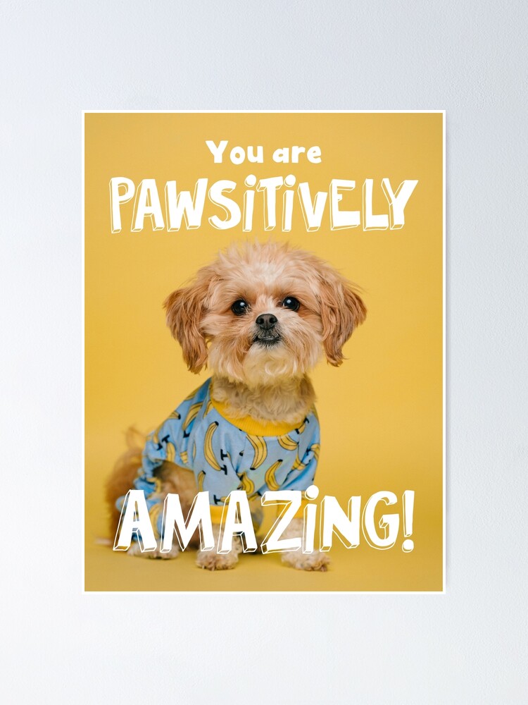 "You Are PAWsitively Amazing!" Poster for Sale by JenielsonDesign ...