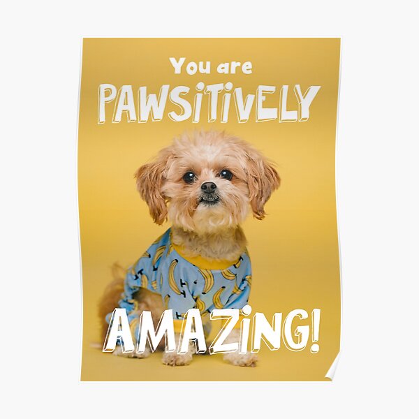 "You Are PAWsitively Amazing!" Poster for Sale by JenielsonDesign ...
