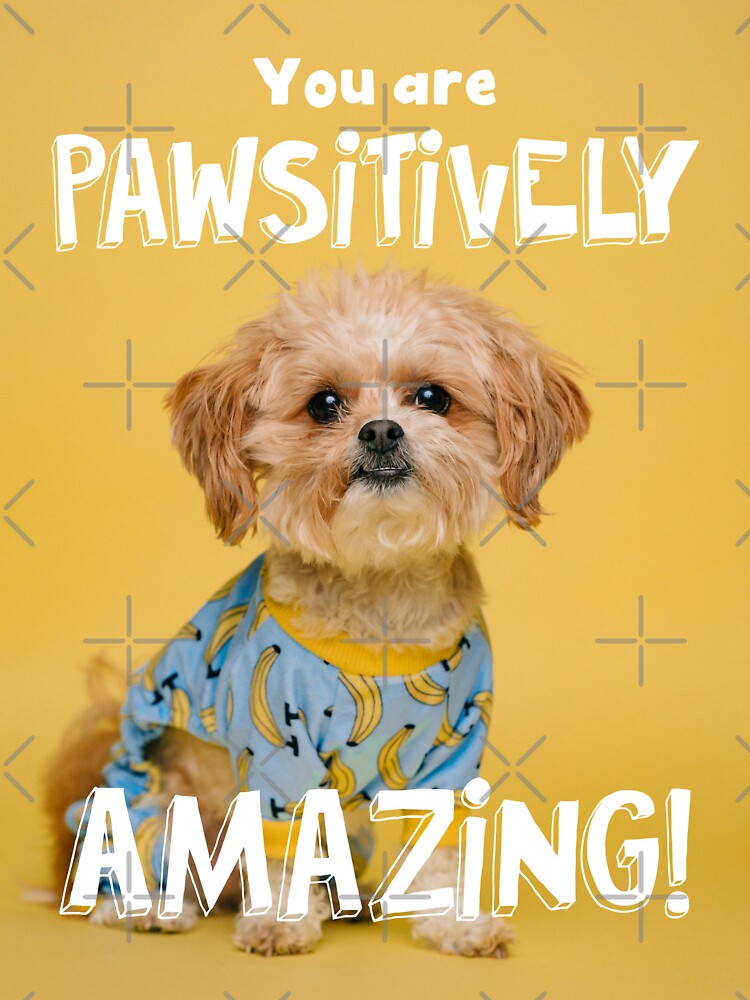 "You Are PAWsitively Amazing!" Sticker for Sale by JenielsonDesign ...