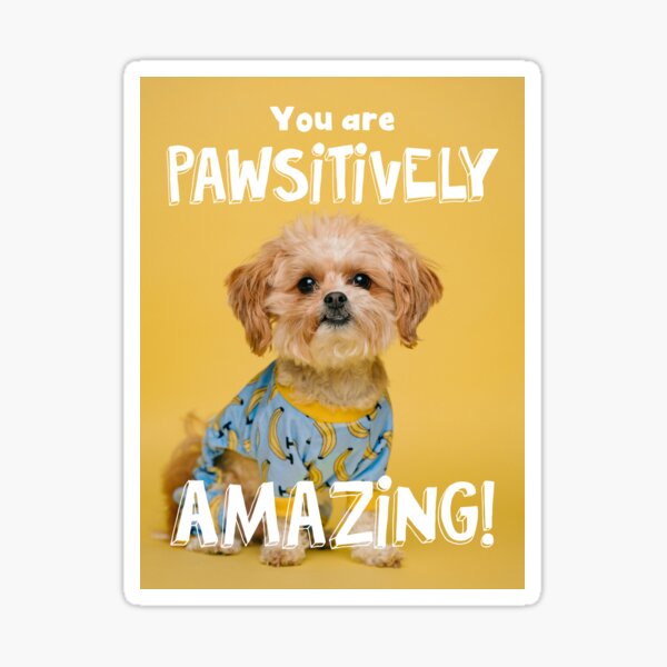 "You Are PAWsitively Amazing!" Sticker for Sale by JenielsonDesign ...