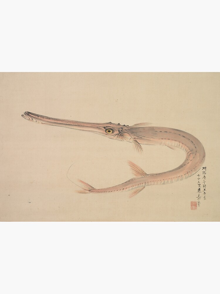 "Needlefish (Yagara)" Poster for Sale by japanese-ukiyoe | Redbubble