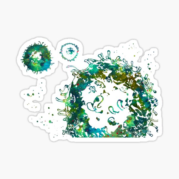 "Stem Cells Microscopic" Sticker for Sale by EvasDreams | Redbubble