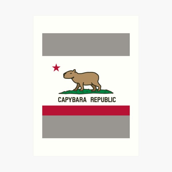 "Capybara Flag (normal land version) " Art Print for Sale by HBWildlife ...
