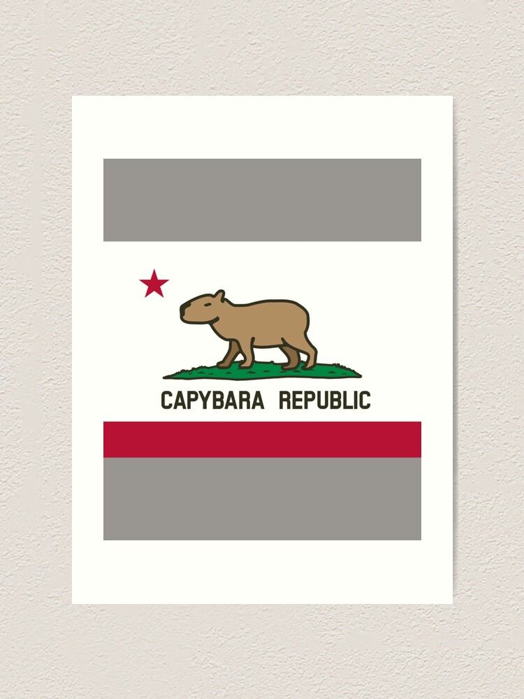 "Capybara Flag (normal land version) " Art Print for Sale by HBWildlife ...