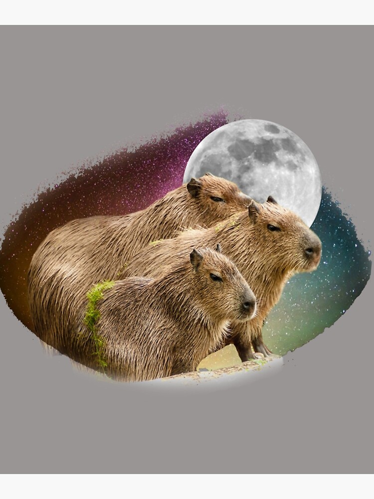 "Capybara lustig, Capybara-Shirt, Capybara-Geschenk, Capybara-Liebhaber ...
