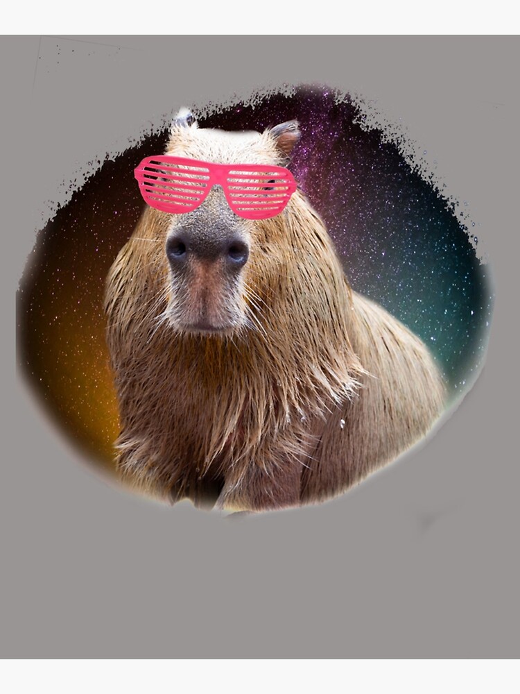 "Capybara Funny , Capybara shirt, Capybara Gift, Capybara Lover Tshirt ...