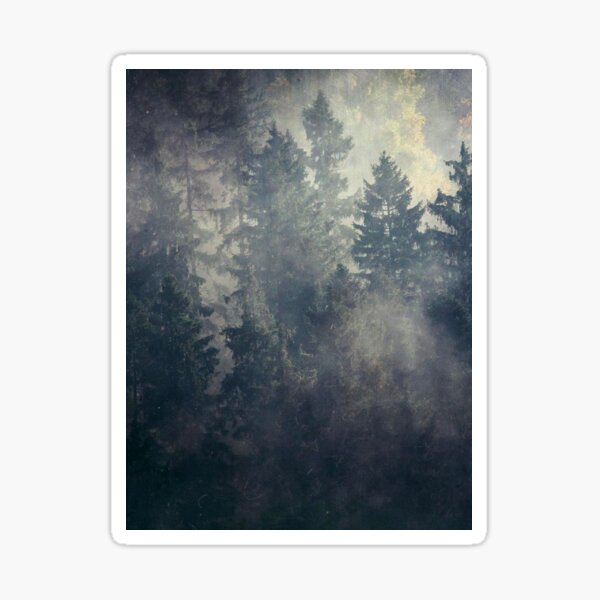 "Forest in the Mist" Sticker for Sale by sss777 | Redbubble