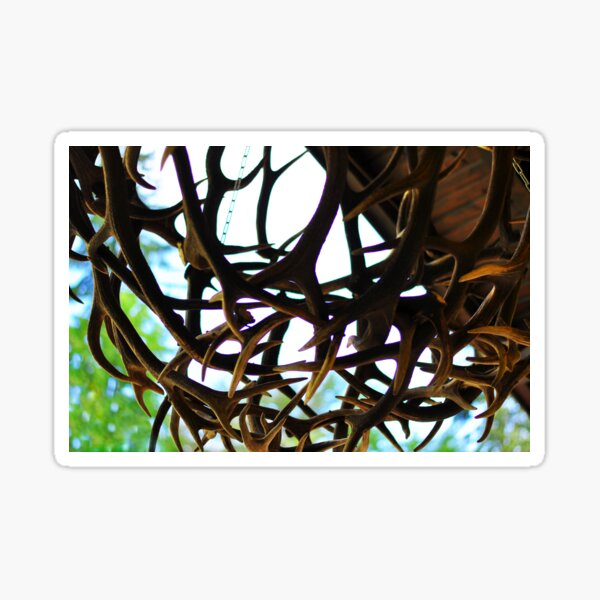 "Horns" Sticker by alex9230 | Redbubble