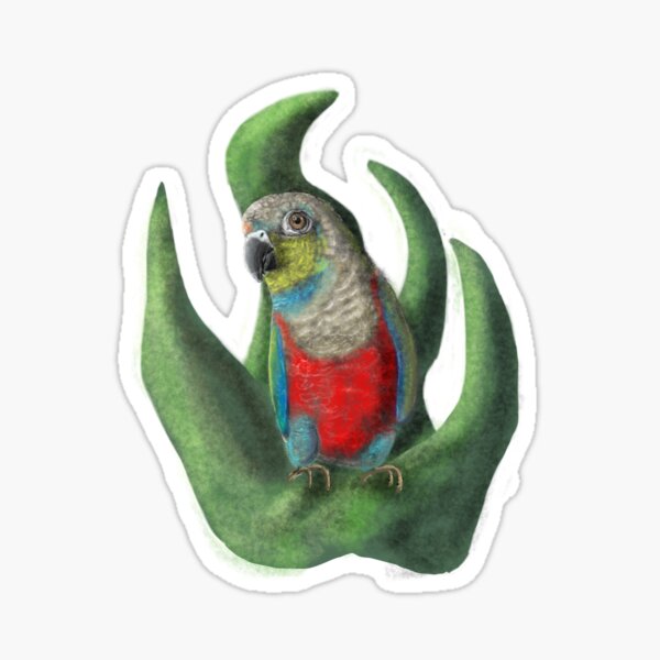 "Portrait of a crimsoned bellied conure" Sticker by BirbFriends | Redbubble