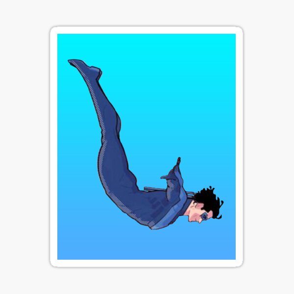 Nightwing Gifts & Merchandise for Sale | Redbubble