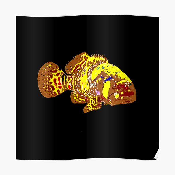 "Giant Grouper Fish" Poster by CarloVaro | Redbubble