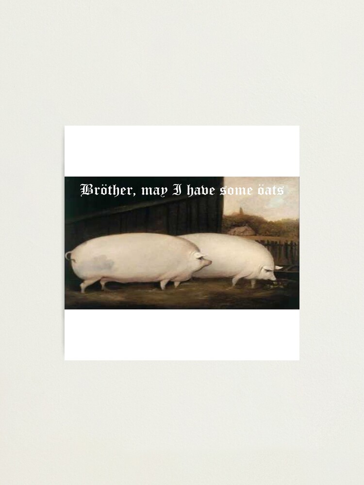 "Brother, may I have some Oats? Pig Meme" Photographic Print by ...