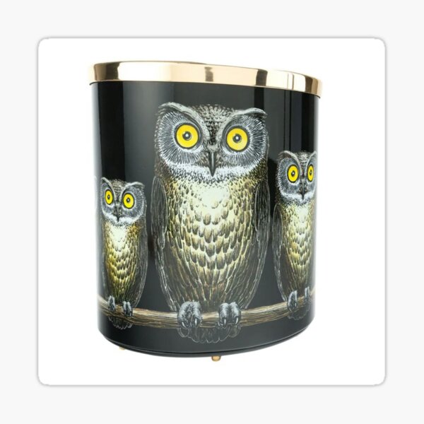 "Owl cute eyes" Sticker by Cleo2 | Redbubble