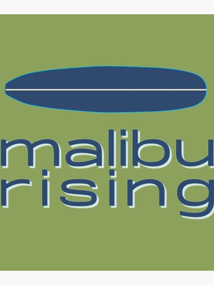 "Malibu Rising Taylor Reid Book Novel Illustration " Poster for Sale by ...