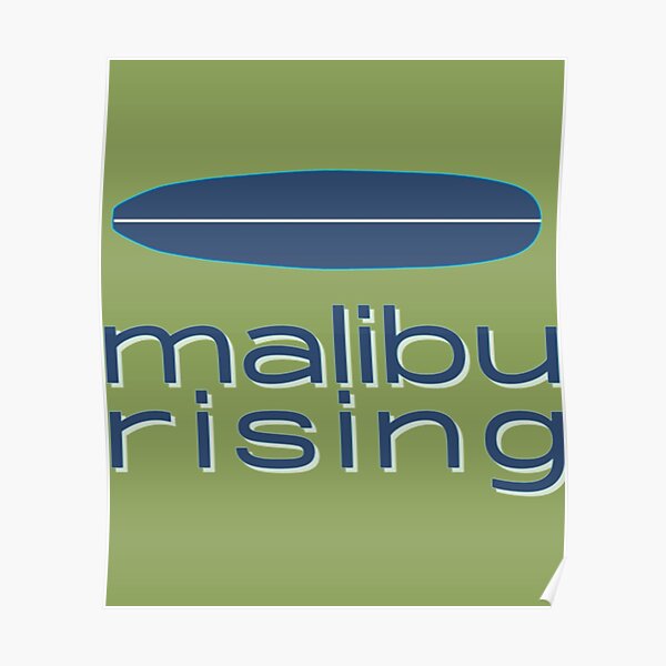 "Malibu Rising Taylor Reid Book Novel Illustration " Poster for Sale by ...