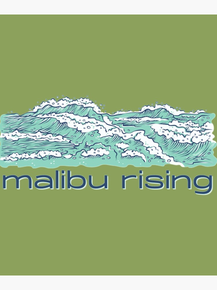 "Malibu Rising Taylor Reid Book Novel Illustration " Poster for Sale by ...