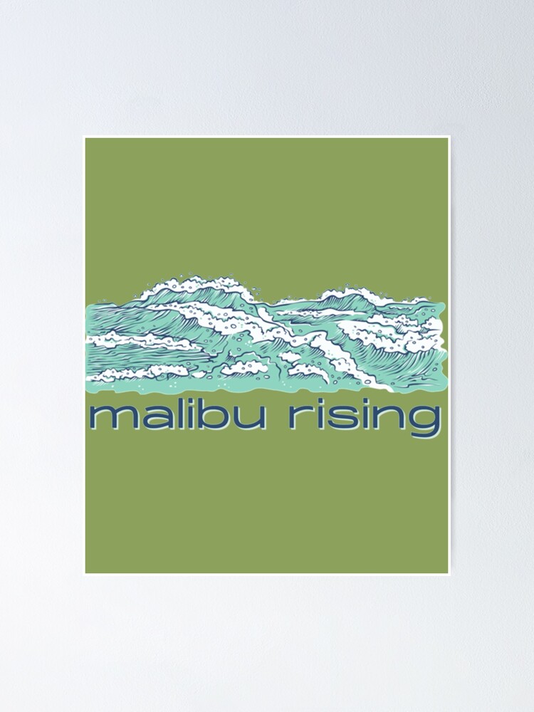 "Malibu Rising Taylor Reid Book Novel Illustration " Poster for Sale by ...