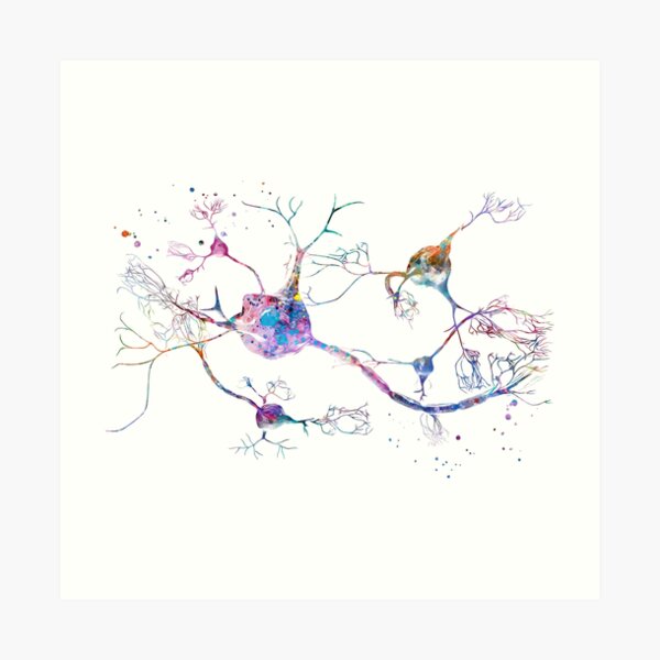 "Neurotransmitters Neuron Synapse" Art Print for Sale by EvasDreams ...