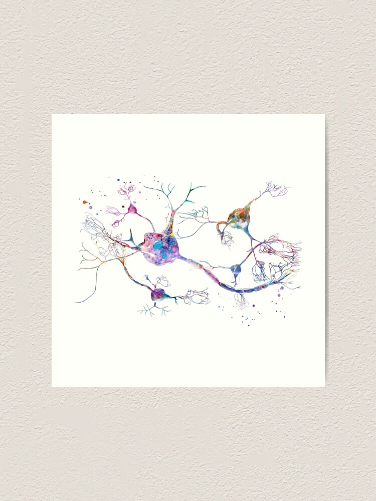 "Neurotransmitters Neuron Synapse" Art Print for Sale by EvasDreams ...