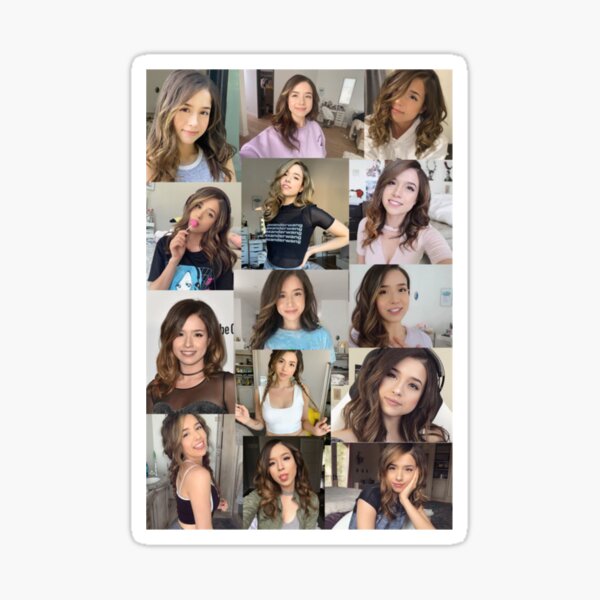 "Pokimane Collage Artwork| Perfect Gift" Sticker for Sale by lauriloise ...